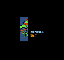 AVGN에 나왔던 게임 닌자 거북이 1[NES]-teenage mutant ninja turtles : 네이버 블로그