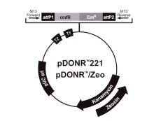 Gateway Cloning 기초 이론 (2 ) : 네이버 블로그