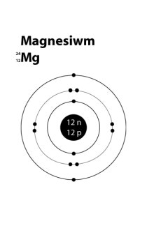[원소 주기율표 12] Magnesium 마그네슘 : 네이버 블로그