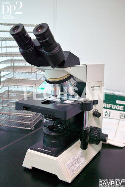 olympus ch40 microscope