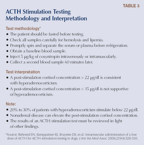 What Is An Acth Stimulation Test For Dogs