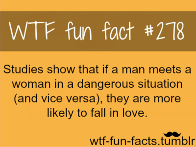 wtf fun facts tumblr