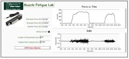 Muscle Fatigue Lab