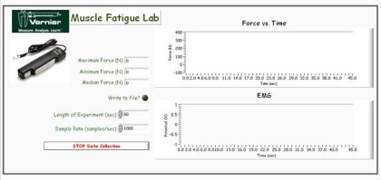 Muscle Fatigue Lab Experiment