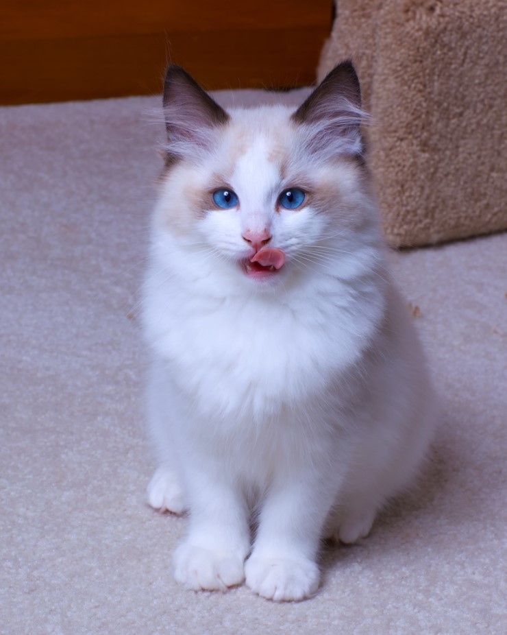 Jeon-seunghye · GitHub