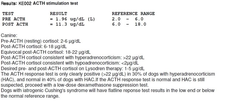 What Is A Acth Stimulation Test For Dogs