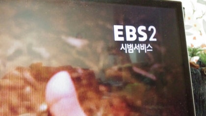 EBS2 잼나게 보고 계시나요? : 네이버 블로그