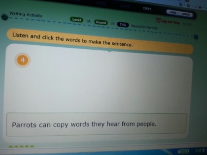 Reading Gate 1-A EB35 (5) Beautiful parrots : 네이버 블로그