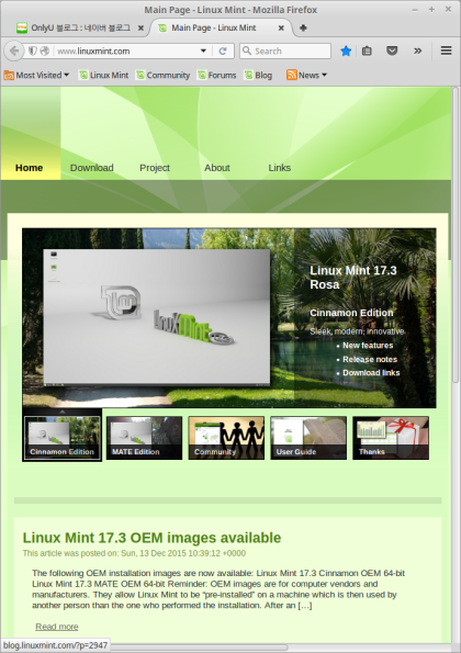 Rosa Linux New Face Informática