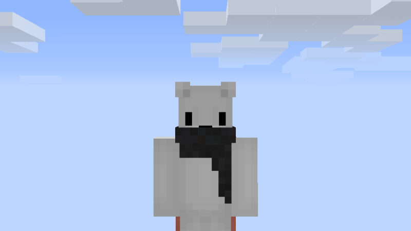 마인크래프트 망토의 종류 : 네이버 블로그