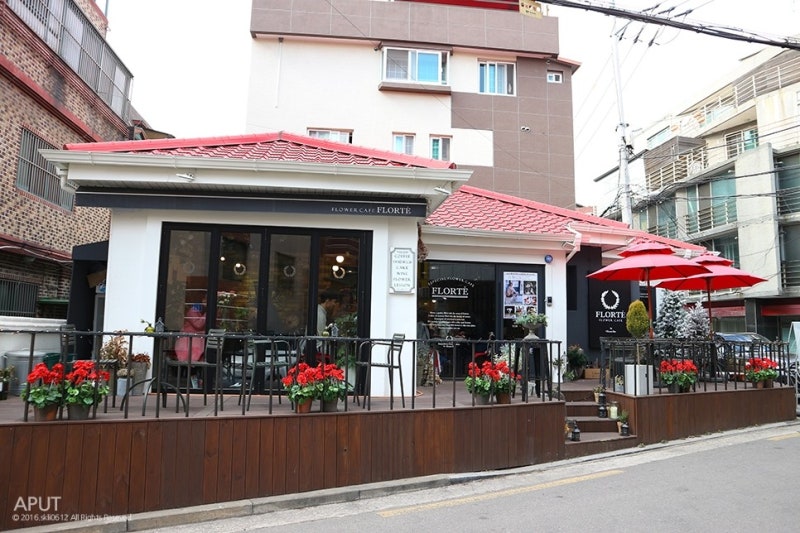 홍대 동교동 플로르떼 홍대 플라워카페 홍대카페 네이버 블로그