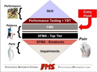 SFMA(Selective Funtional Movement Assessment)란? : 네이버 블로그