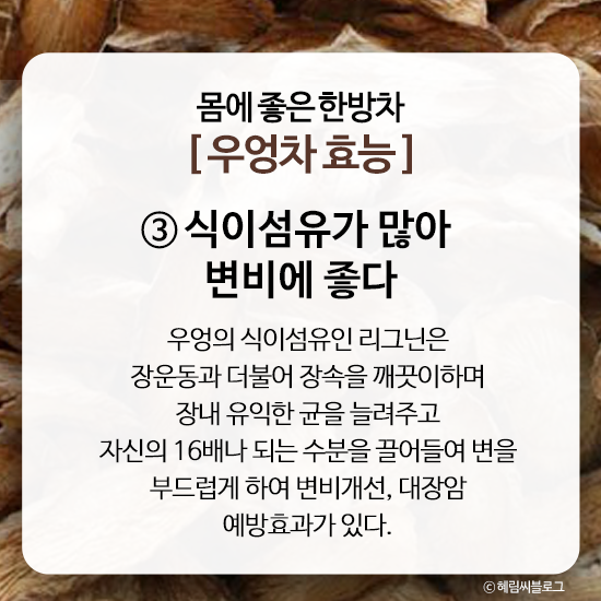 몸에좋은 한방차건강차 우엉차효능우엉효능 네이버 블로그