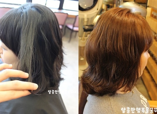 부천 송내역 미용실 로이드밤에서 밀크브라운 염색했어요 네이버 블로그