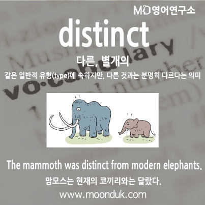 MD 알쏭달쏭 영단어_distinct VS distinctive : 네이버 블로그