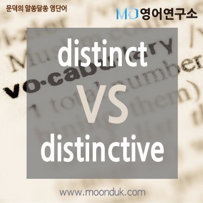 MD 알쏭달쏭 영단어_distinct VS distinctive : 네이버 블로그