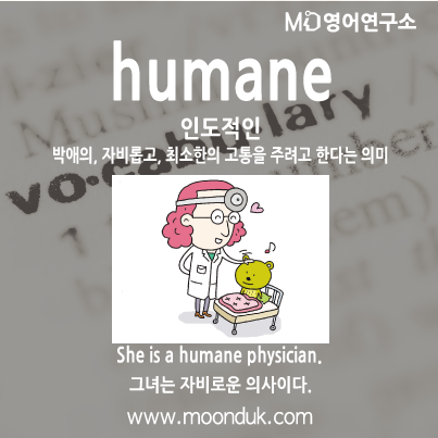 MD 알쏭달쏭 영단어_human VS humane : 네이버 블로그