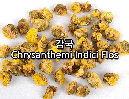 감국(Chrysanthemi Indici Flos) : 네이버 블로그