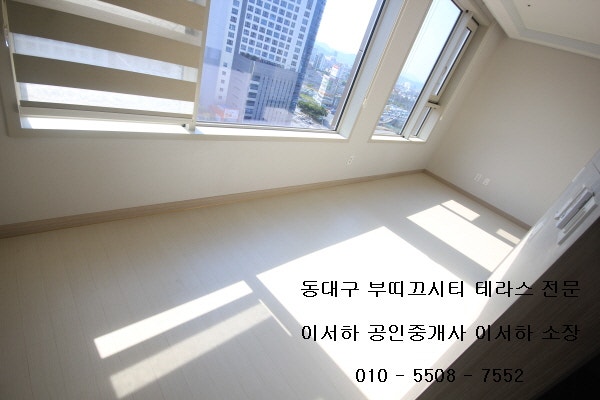 동대구부띠끄시티오피스텔 대구 동구 동대구역 지하철역세권 복합환승센터~신세계백화점 앞 부띠끄시티테라스 B 타입 방문후기
