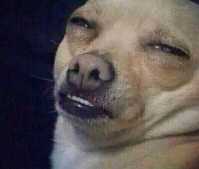 짤모음/슬픔,허망,오열,좌절/웃긴짤 : 네이버 블로그