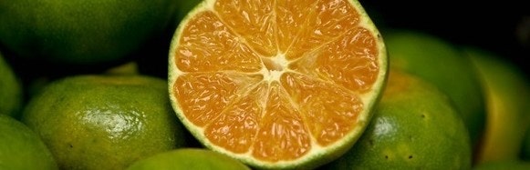 필리핀 감귤 달란단(Dalandan)-달란단효능, 달란단맛보기 : 네이버 블로그