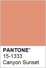 오늘의컬러 PANTONE COLOR 15-1333/20160617 팬톤 컬러칩 : 네이버 블로그