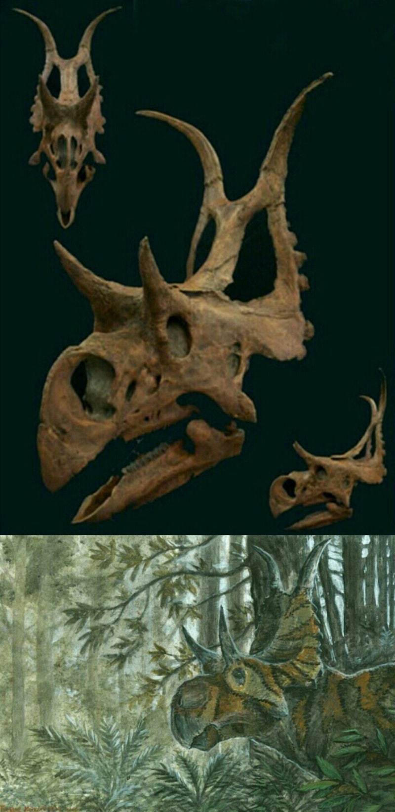 7. Ornithischia(2) : 네이버 블로그