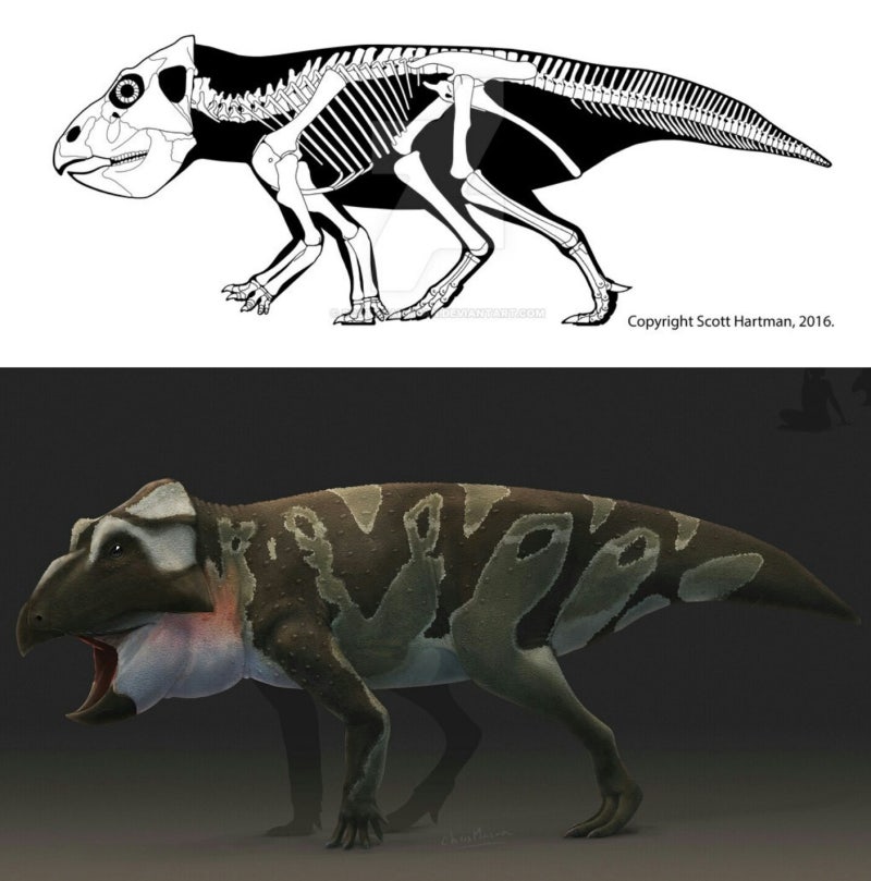 7. Ornithischia(2) : 네이버 블로그