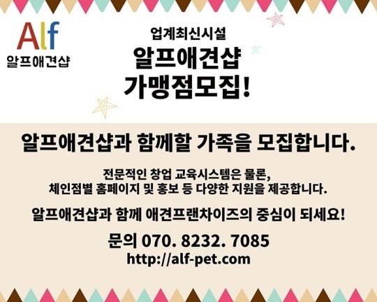 부산해운대강아지 요크셔테리어 강아지 키우는법 : 네이버 블로그