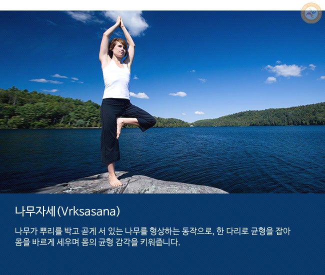 요가 기본자세 초보자 요가동작 6가지 네이버 블로그