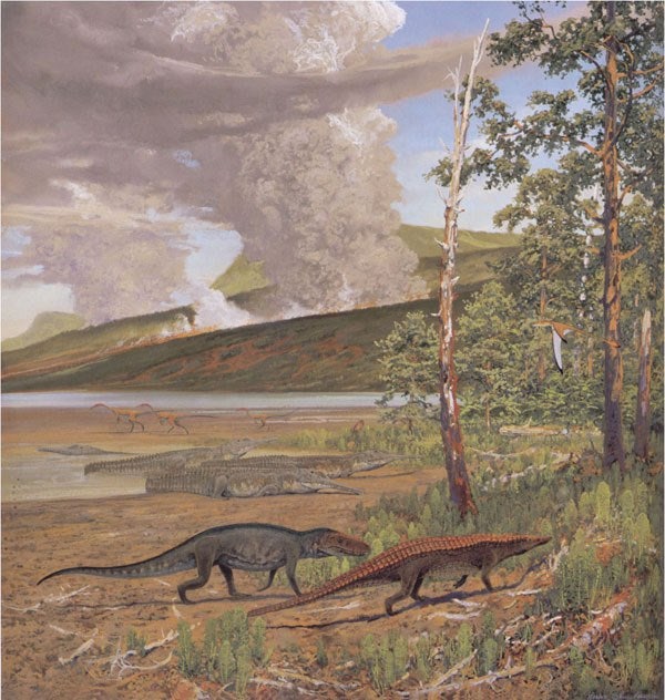 트라이아스기의 주연들-3:Poposauroidea : 네이버 블로그