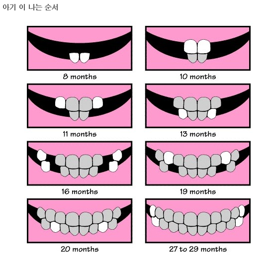 아기 첫니 이나는시기이 나는순서이빨관리방법아기치아관리방법 네이버 블로그
