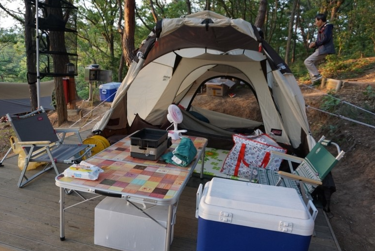 입화산 참살이숲야영장 예약 방법 : 네이버 블로그