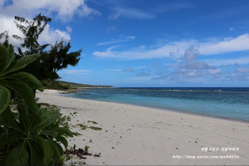 [마리아나 제도 로타 여행] 테테토 비치(Teteto Beach) : 네이버 블로그
