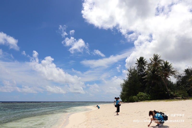 [마리아나 제도 로타 여행] 테테토 비치(Teteto Beach) : 네이버 블로그
