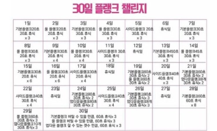 플랭크 운동 5가지종류 파헤치기 플랭크코어운동맨몸운동 네이버 블로그