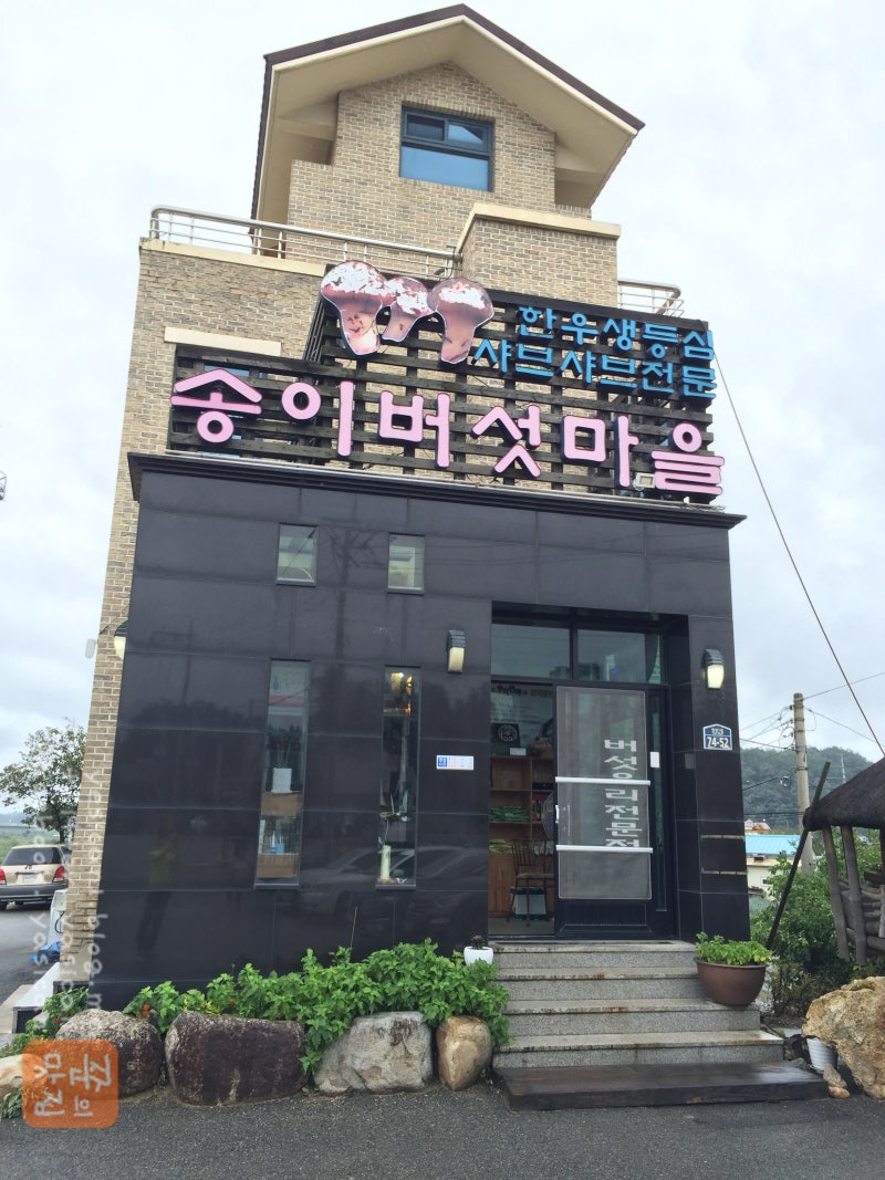 강원도 양양 맛집 생 표고버섯의 재발견 송이버섯마을 네이버 블로그