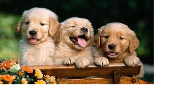 I Know You 터피(turpee) : 네이버 블로그