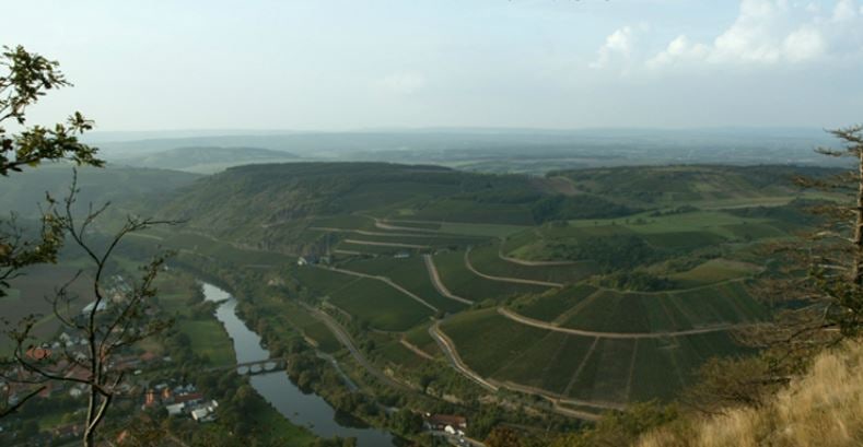 Weingut Donnhoff Niederhauser Hermannshohle Riesling Trocken GG, Nahe ...
