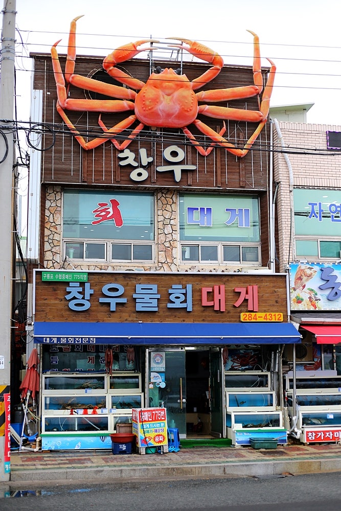 포항 구룡포맛집 창우물회대게 구룡포항 물회맛집구룡포항 대게맛집 네이버 블로그
