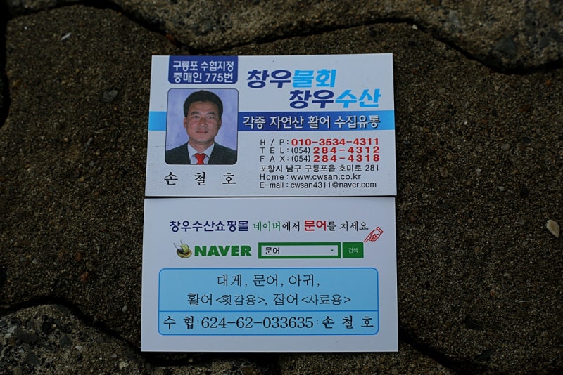 포항 구룡포맛집 창우물회대게 구룡포항 물회맛집구룡포항 대게맛집 네이버 블로그