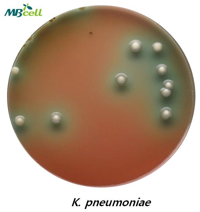 mFC(membrane Fecal Coliforms) Agar MB-F1412 : 네이버 블로그