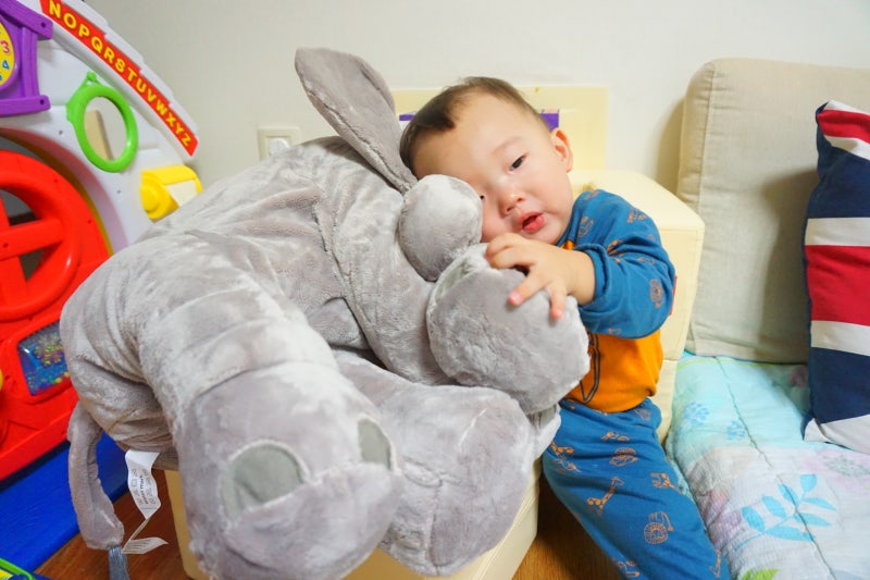 코끼리인형 코비 베비 애착인형되다~ : 네이버 블로그