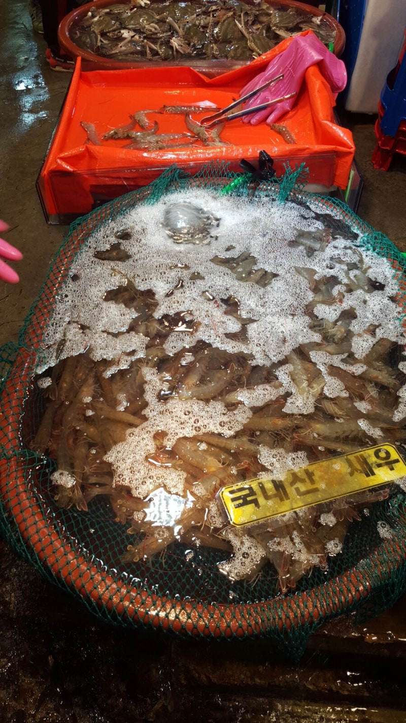 시골소녀 서블리의 서울근교 인천놀이 소래포구 대하축체 송도 최고급 핸드드립커피 와완카페 인천공항 찍고 을왕리 선녀바위