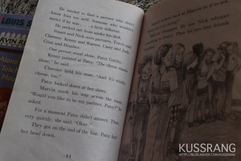 THE MARVIN REDPOST SERIES BY LOUIS SACHAR 마빈 레드포스트 챕터북 #3 IS HE A GIRL ...