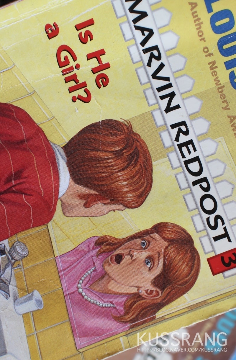 THE MARVIN REDPOST SERIES BY LOUIS SACHAR 마빈 레드포스트 챕터북 #3 IS HE A GIRL ...