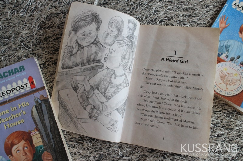 THE MARVIN REDPOST SERIES BY LOUIS SACHAR 마빈 레드포스트 챕터북 #3 IS HE A GIRL ...