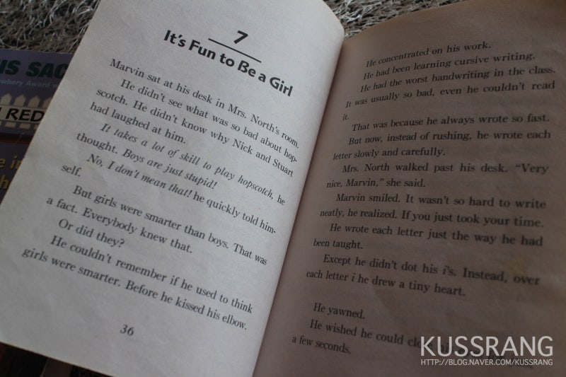 THE MARVIN REDPOST SERIES BY LOUIS SACHAR 마빈 레드포스트 챕터북 #3 IS HE A GIRL ...