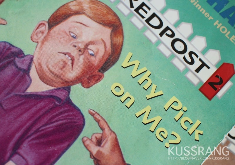 THE MARVIN REDPOST SERIES BY LOUIS SACHAR 마빈 레드포스트 챕터북 #3 IS HE A GIRL ...