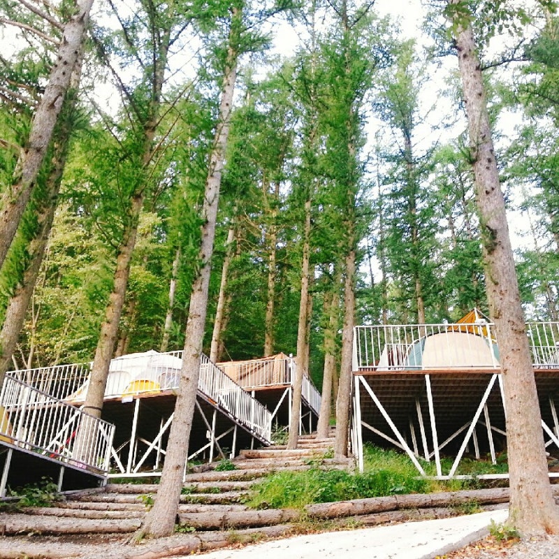 경주 산내 문복산 오토캠핑장에서 10월 처음 네이버 블로그